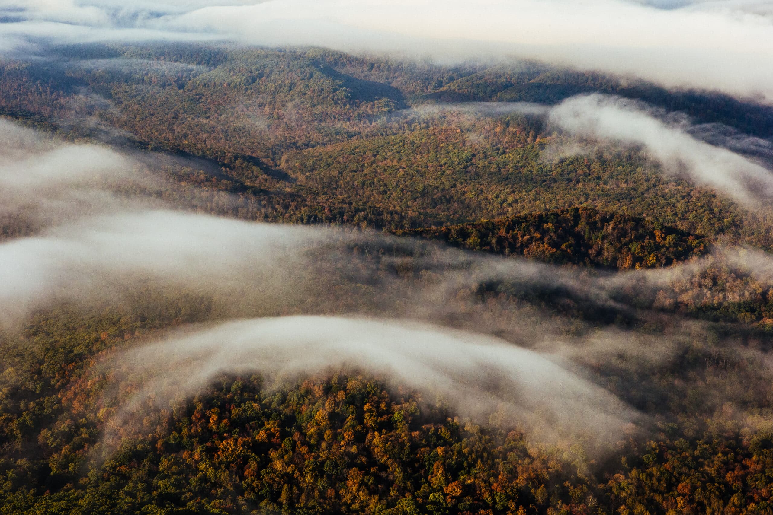 Arkansas Tourism - adpht.arkansas.gov