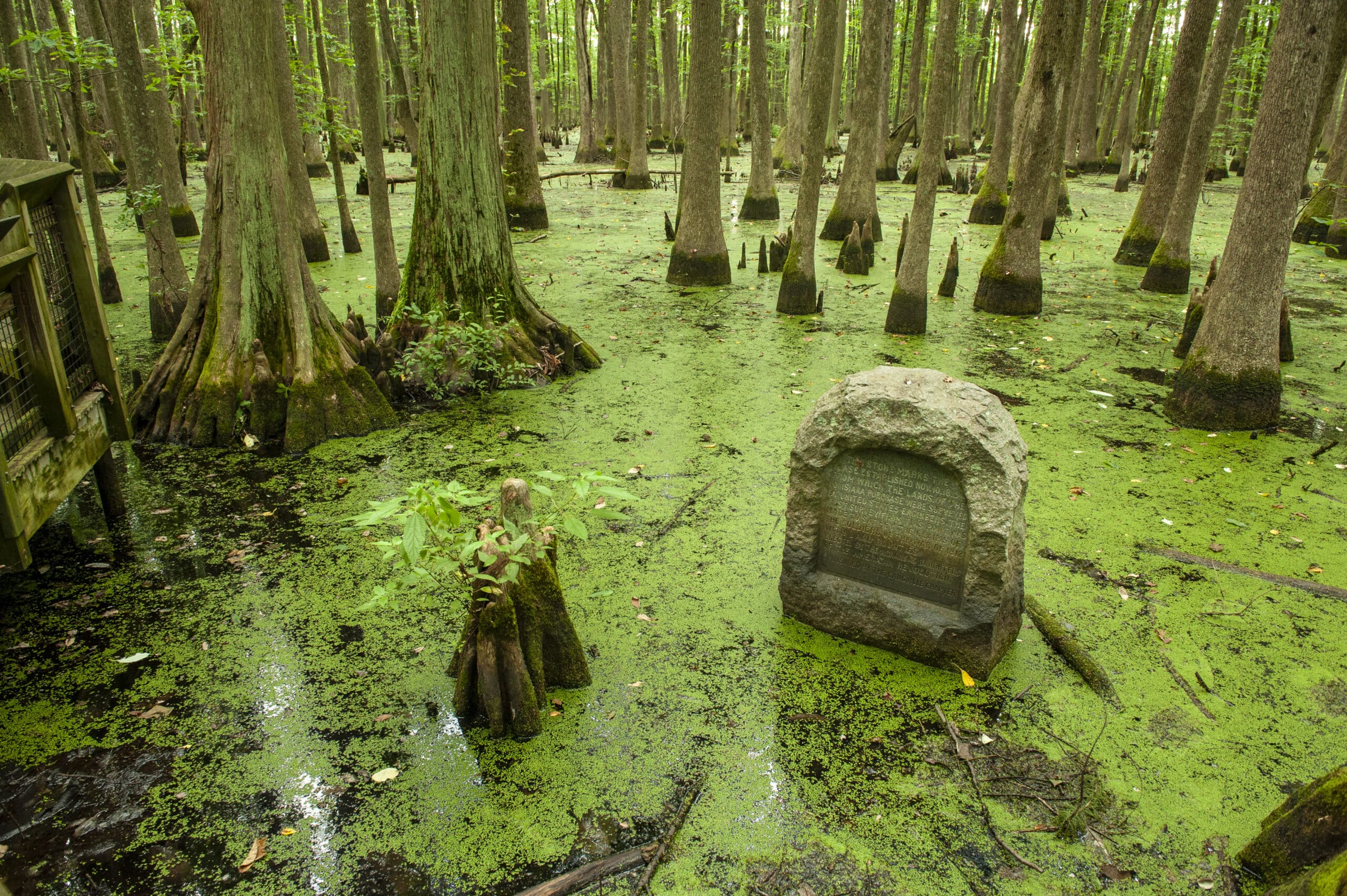 Arkansas Heritage - adpht.arkansas.gov